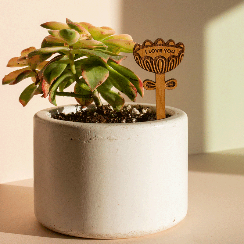 I Love You Flower Wood Plant Pick | Hereafter